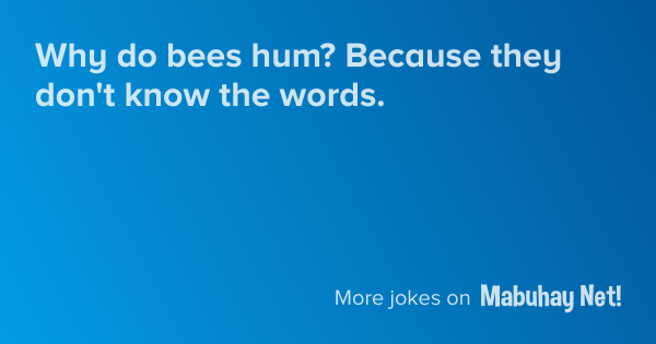 Why do bees hum? · Mabuhay Net!